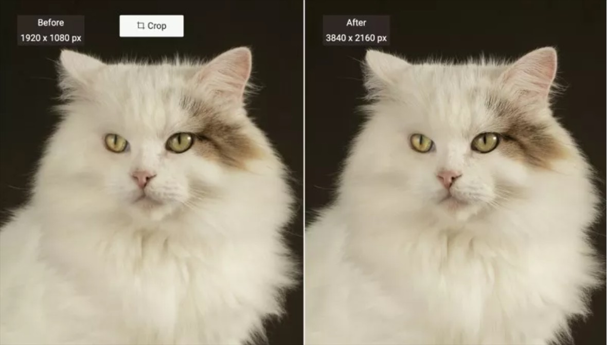 VanceAI Image Upscaler | Increase Image Resolution Automatically with AI